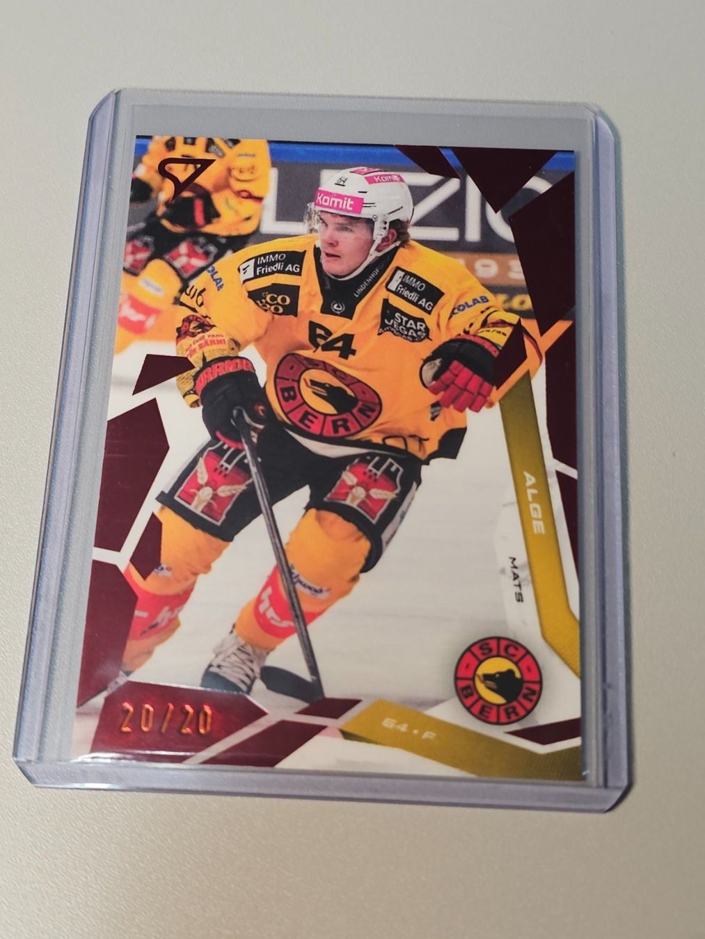 25/26 Sportzoo, National L., Deep Red/20, Alge, SC Bern (Gebraucht) in ...