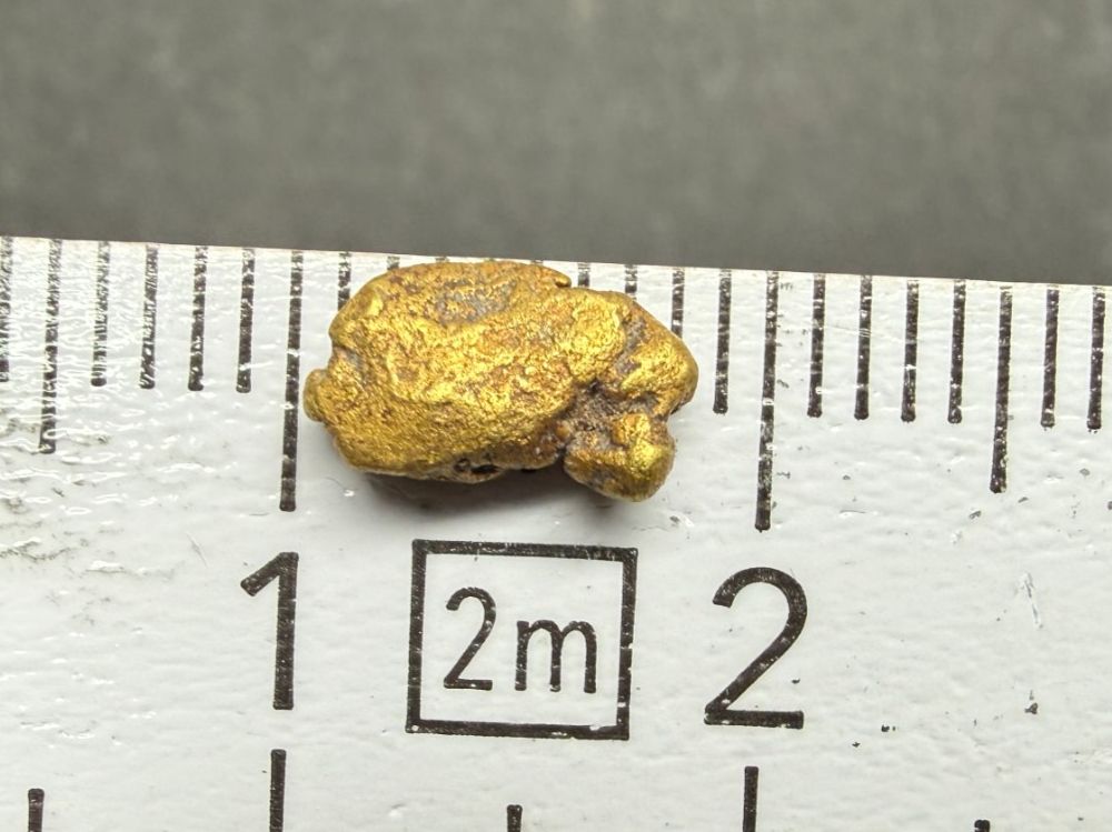 Dickes Goldnugget 0.74 g Eigenfund aus Alaska Crevice Creek (Neu ...