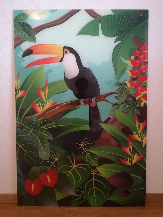 Tucan Poster auf Plexiglas 80x120cm | Kaufen auf Ricardo