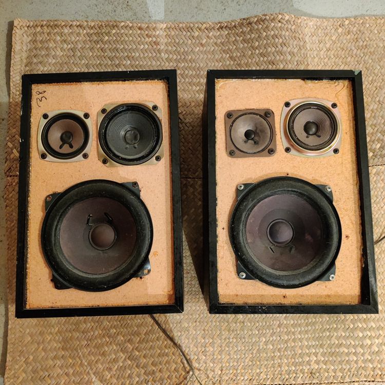 Musikboxen - 50W | Kaufen auf Ricardo