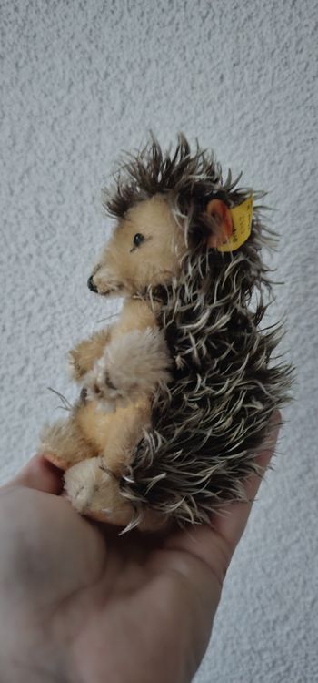Steiff Igel Joggi (Gebraucht) in Mörigen für CHF 30 – mit Lieferung auf ...