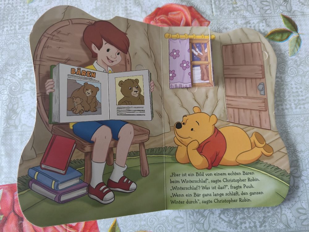 Winnie Puuh - Hält Winterschlaf! Buch mit 15 Klappen (Neu (gemäss ...