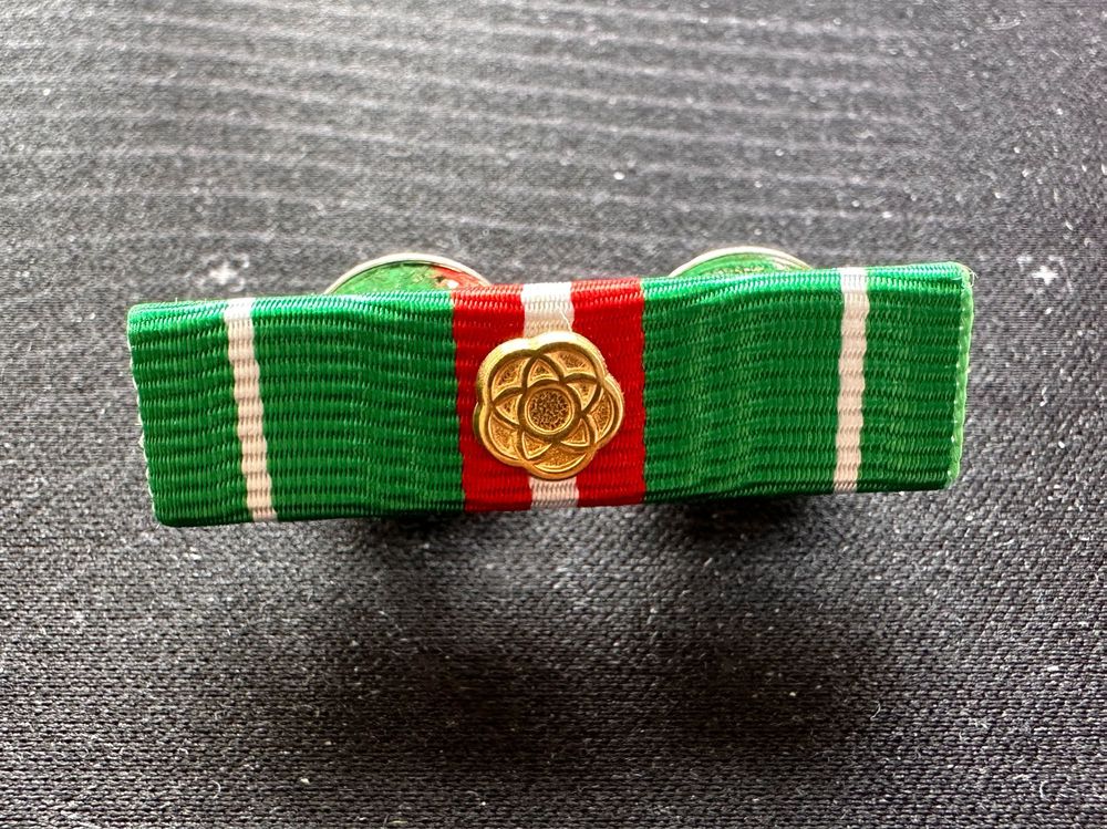Ribbon Corona Einsatz Gold Schweizer Armee (Neu (gemäss Beschreibung ...