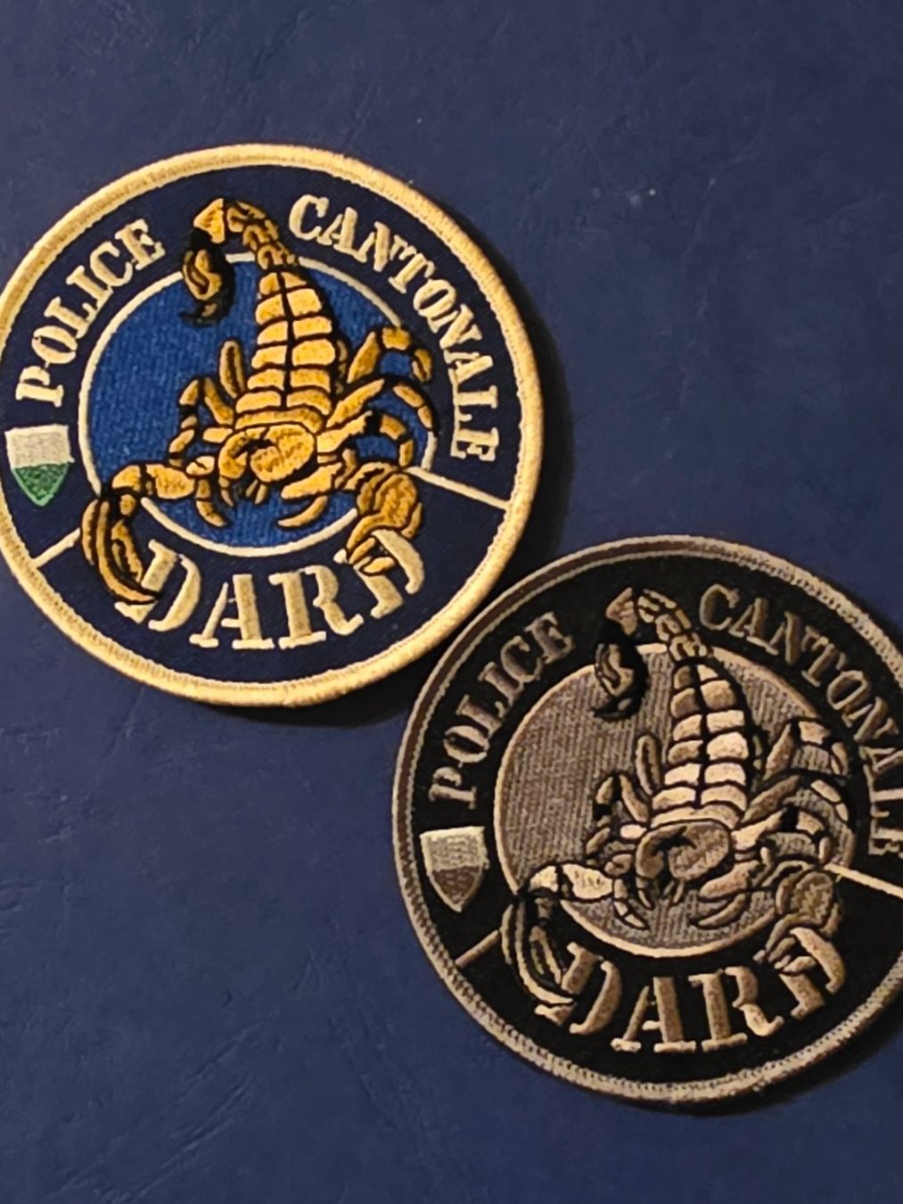 Polizei Abzeichen Badge Duo D.A.R.D GENDARMERIE VAUDOISE NE (Neu ...