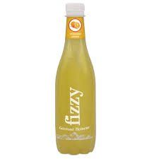 FIZZY Gazzosa ticinese Bitterorange 46cl PET (Amara) (Neu und ...