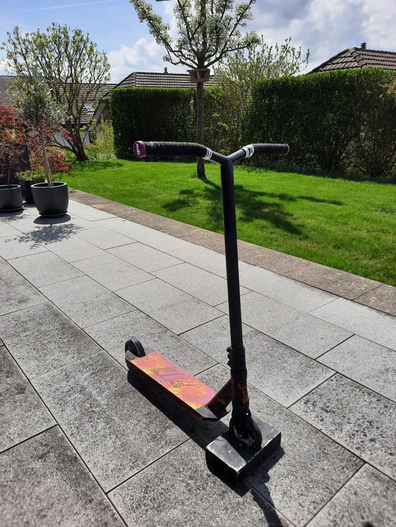 Chilli Pro Scooter (Gebraucht) in Seengen für CHF 40 – nur Abholung auf ...