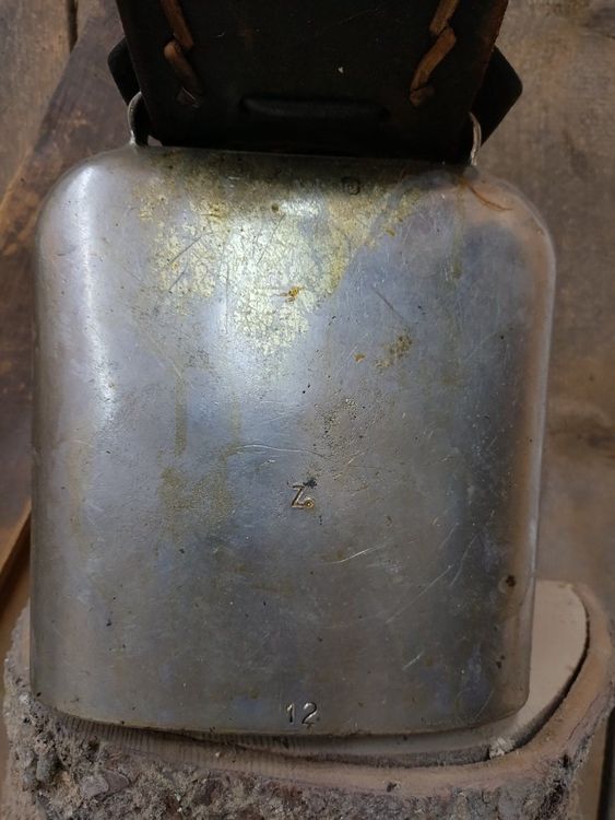 Zurfluh Treichel Nr.12 (Gebraucht) in für CHF 380 – nur Abholung auf ...