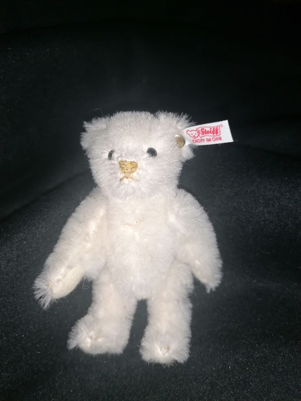 Steiff Teddy, Knopf im Ohr, Weiss, Vintage, Rarität! (51) (Gebraucht ...