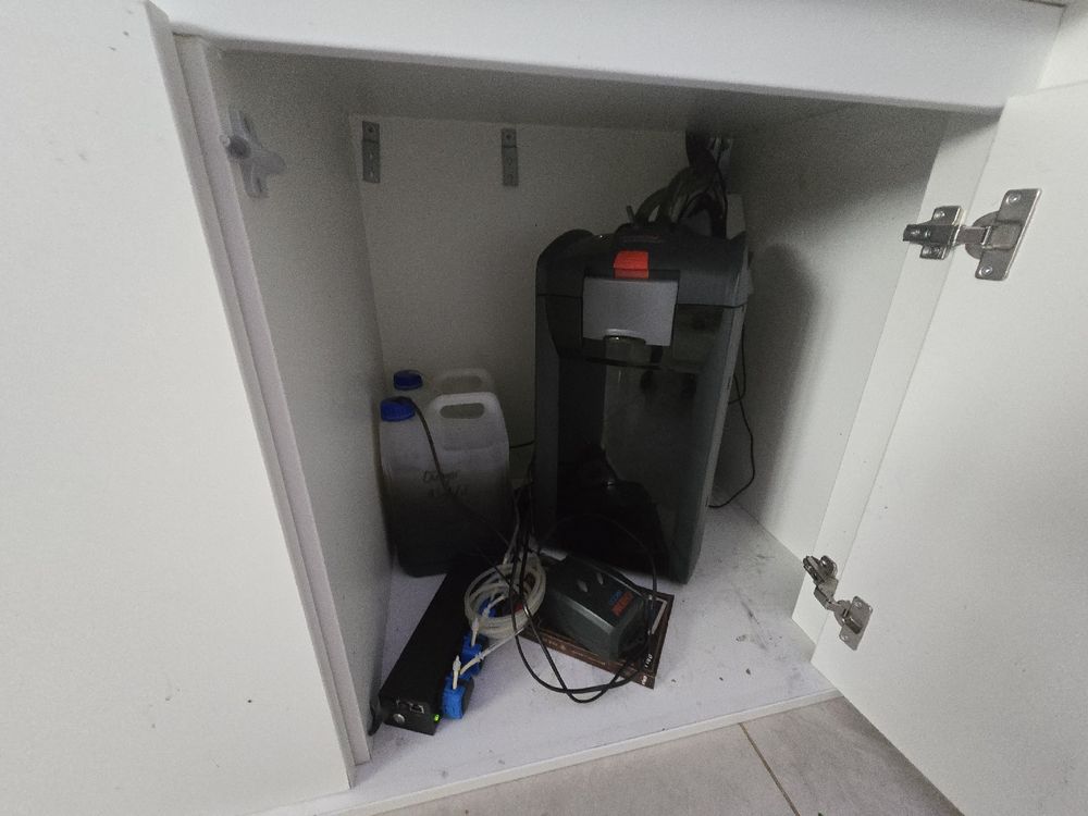 Grosses Aquarium mit Fischen und Zubehör zu verkaufen! (Gebraucht) in Villmergen für CHF 650 ...