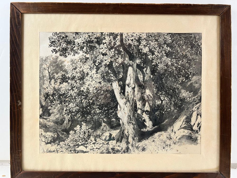 Landschaft Lithographie (Gebraucht) in Neuhausen am Rheinfall für CHF 10 – mit Lieferung auf ...