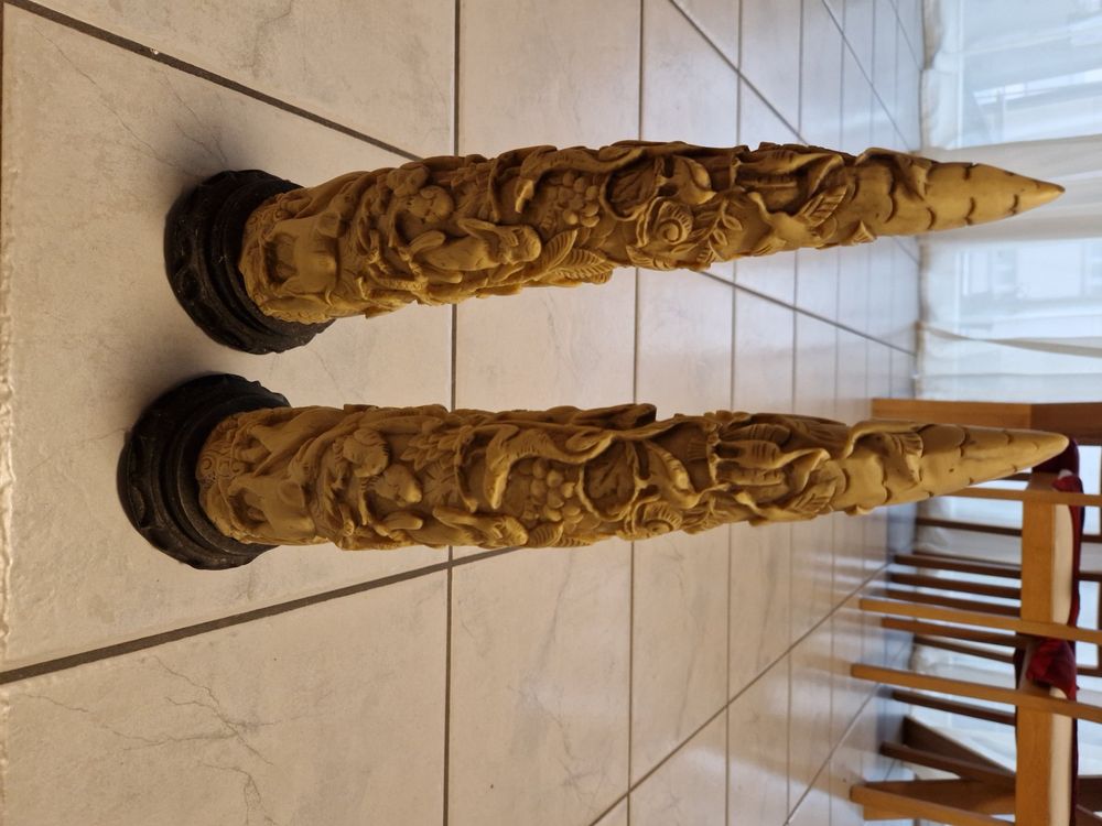 Corne éléphant | Kaufen auf Ricardo