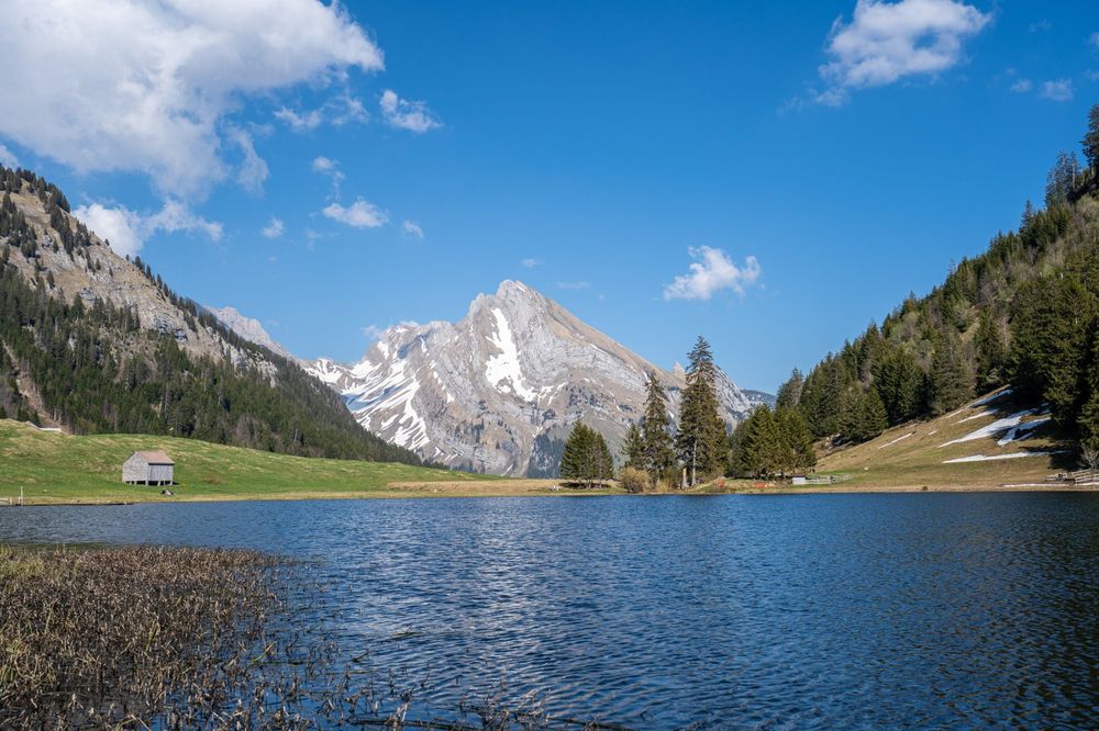 Gräppelensee/Schafberg im Toggenburg,75 cm breit x60 cm hoch (Gebraucht ...
