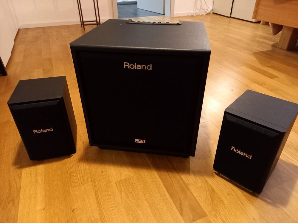 Roland CM-220 2.1 Monitor-System (Gebraucht) in Wattwil für CHF 250 ...