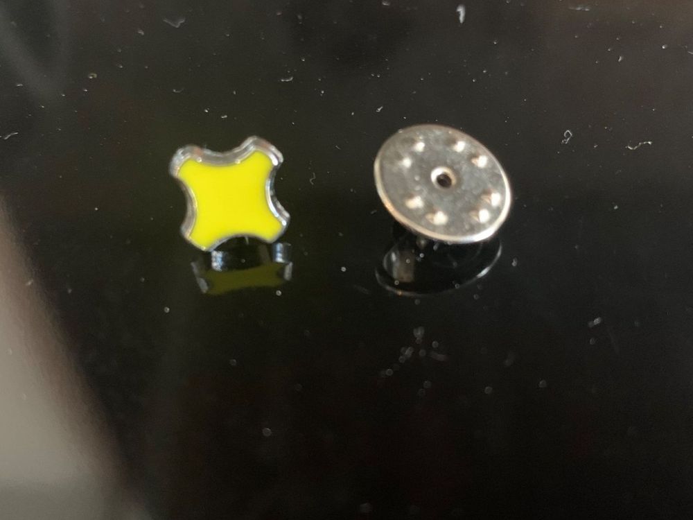 FASNACHT BASEL PIN (Gebraucht) in Arbedo für CHF 6 – mit Lieferung auf ...