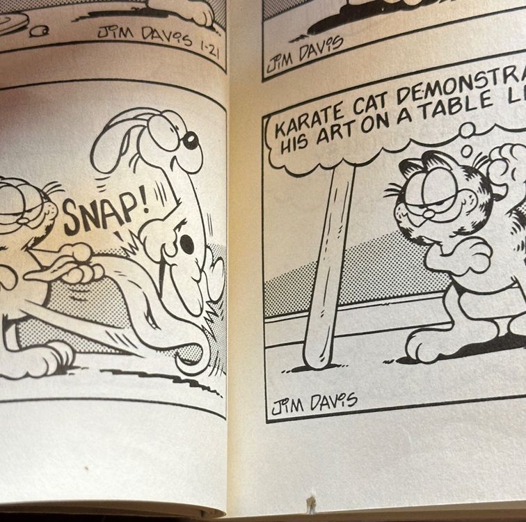 Vintage 1985 Garfield 12 - Garfield out to lunch (Gebraucht) in ...