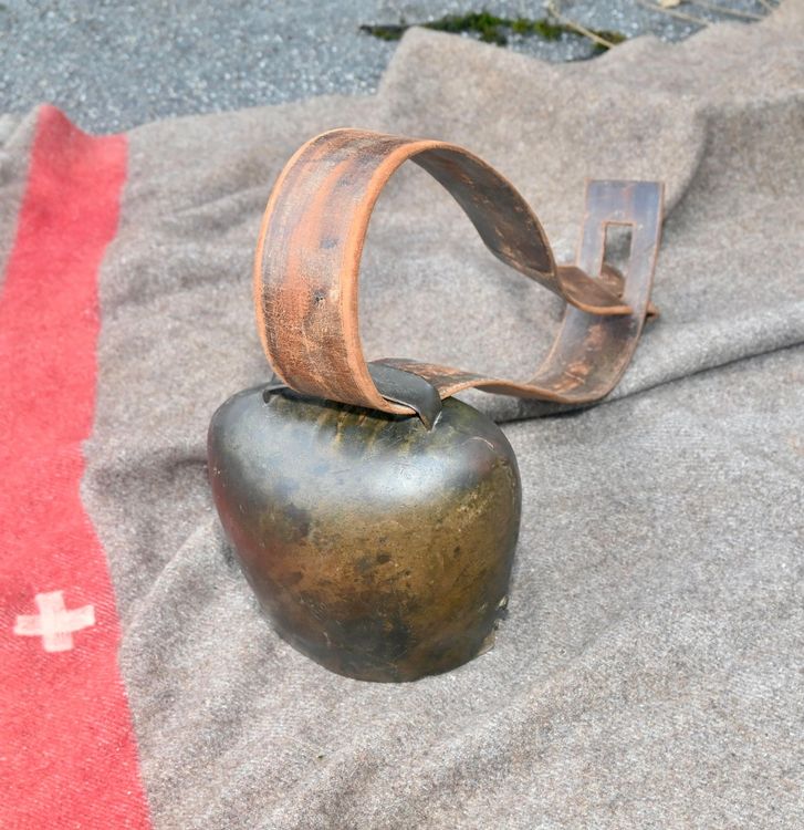 TREICHEL breite 18cm mit Lederriemen wasserfest gekittet 66 (Gebraucht ...