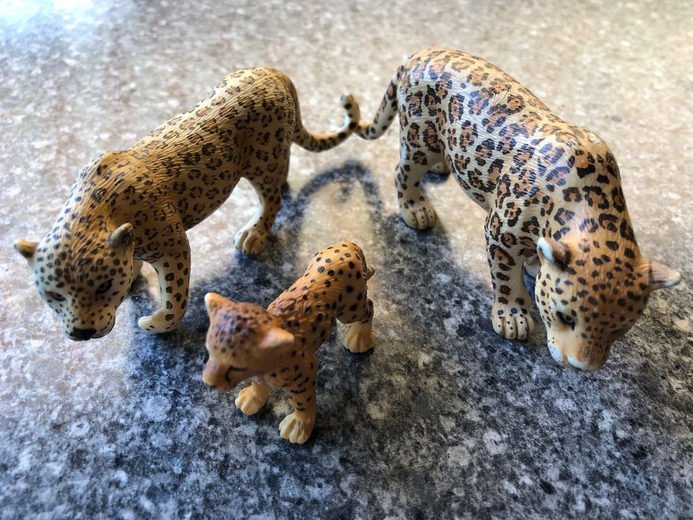 SCHLEICH S leopard familie | Kaufen auf Ricardo