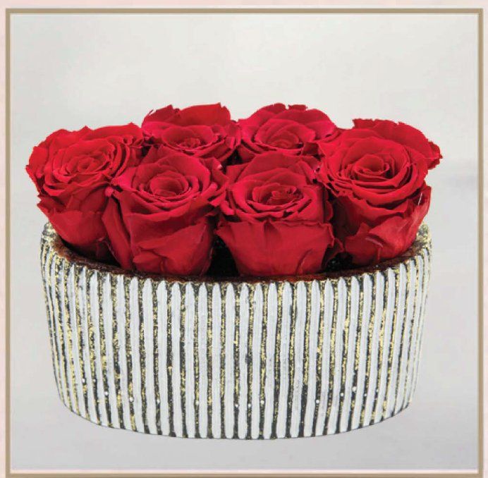 Real roses Preserved (Neu und originalverpackt) in Zürich für CHF 70 ...