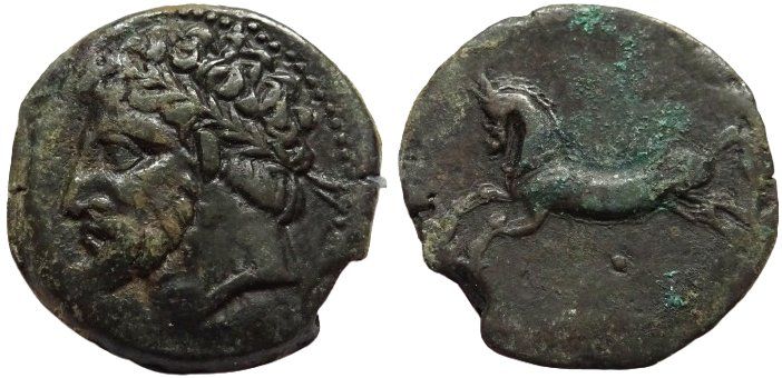 NUMIDIA. Massinissa or Micipsa bronze coin (148-118 BC) (Gebraucht) in ...