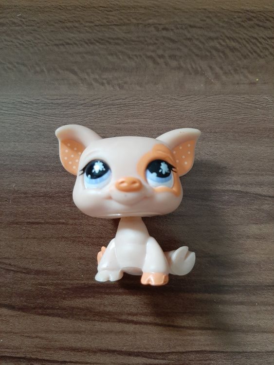 LPS Littlest Pet Shop Schweinchen #885 | Kaufen auf Ricardo