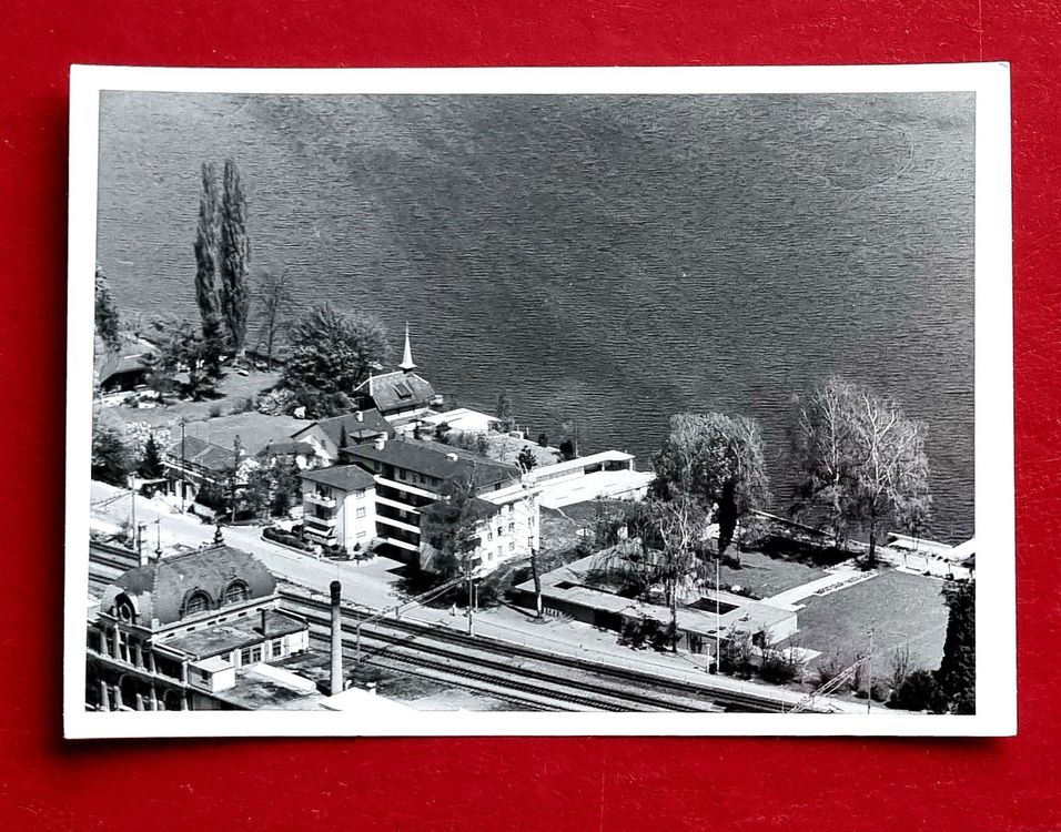 Horgen - Flugaufnahme - Eisenbahn - Seestrasse (Gebraucht) in Rothrist für CHF 18.5 – mit ...