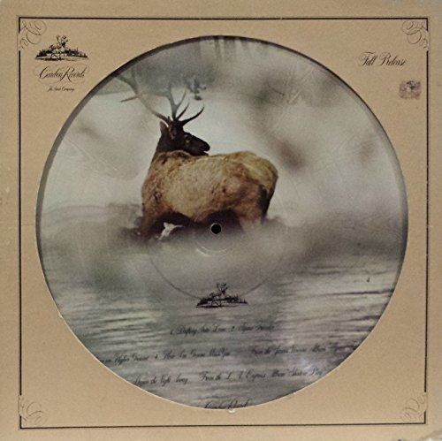 Caribou Records, Fall Release - LP Picture Disc USA | Kaufen auf Ricardo