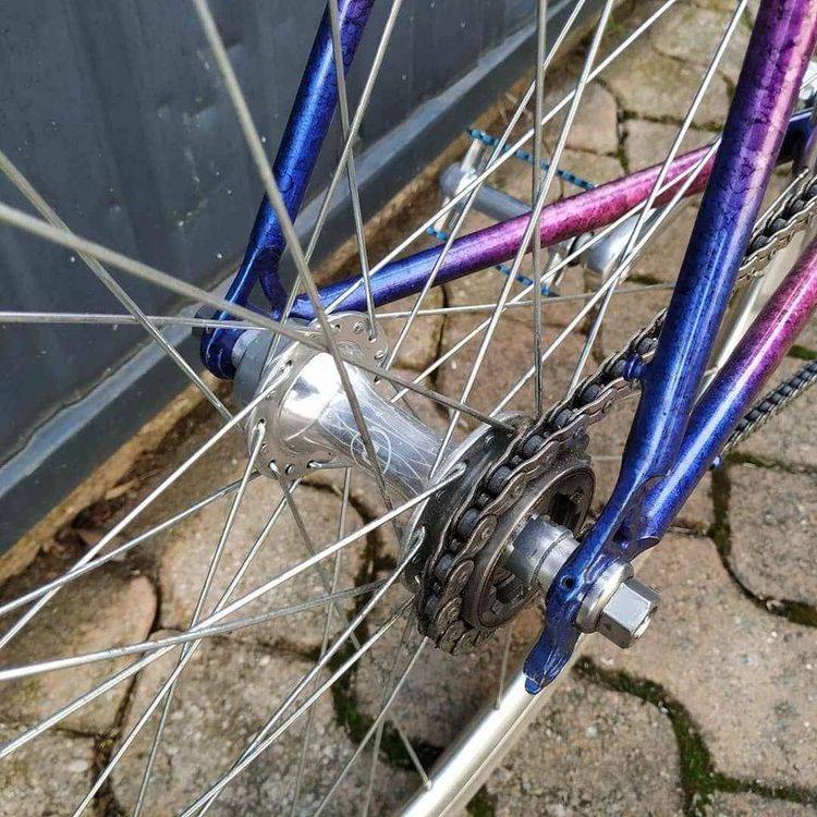 Vélo single speed acier Reynolds 531 t55 (Gebraucht) in Carouge GE für ...