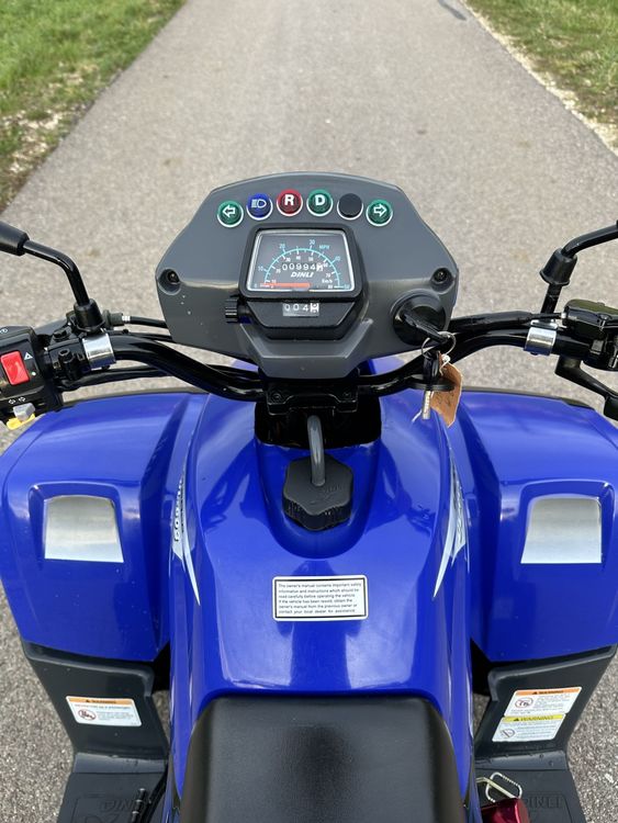 Quad Dinli 150 DL-603 - AB MFK/EXPERTISÉ - 995 KM (Gebraucht) in ...