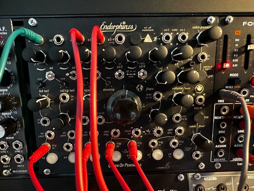 Endorphin.es Queen of pentacles Drum Module 909 + Samples | Kaufen auf ...