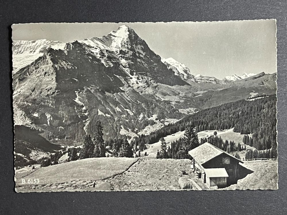 Grindelwald | Kaufen auf Ricardo
