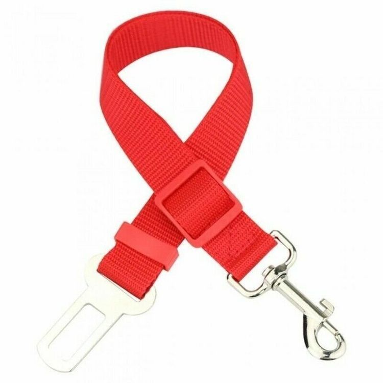 Rot Sicherheitsgurt für Hunde, Haustiere, Auto, Katze | Kaufen auf Ricardo Rot Sicherheitsgurt für Hunde, Haustiere, Auto, Katze | Kaufen auf Ricardo
