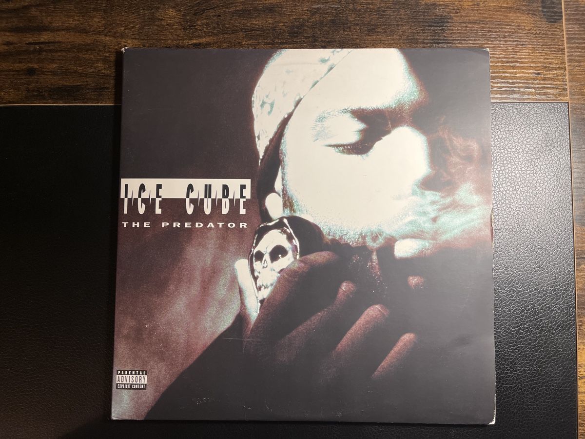 Ice Cube The Predator Album Vinyl Doppel LP (Gebraucht) in Bellach für ...