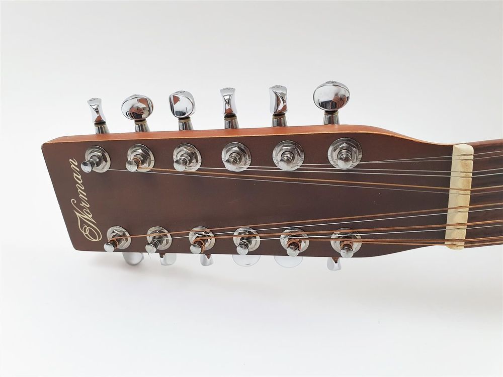 NORMAN 12 String Gitarre B20 (Gebraucht) in für CHF 219 – nur Abholung ...