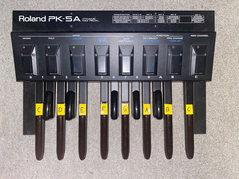 Roland PK-5A Dynamic MIDI Pedal Controller (inkl. Netzgerät) (Gebraucht ...