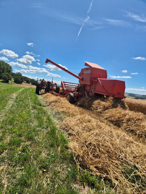 Fahr M 66 TS mähdrescher (Gebraucht) in Mezery für CHF 3000 – nur ...