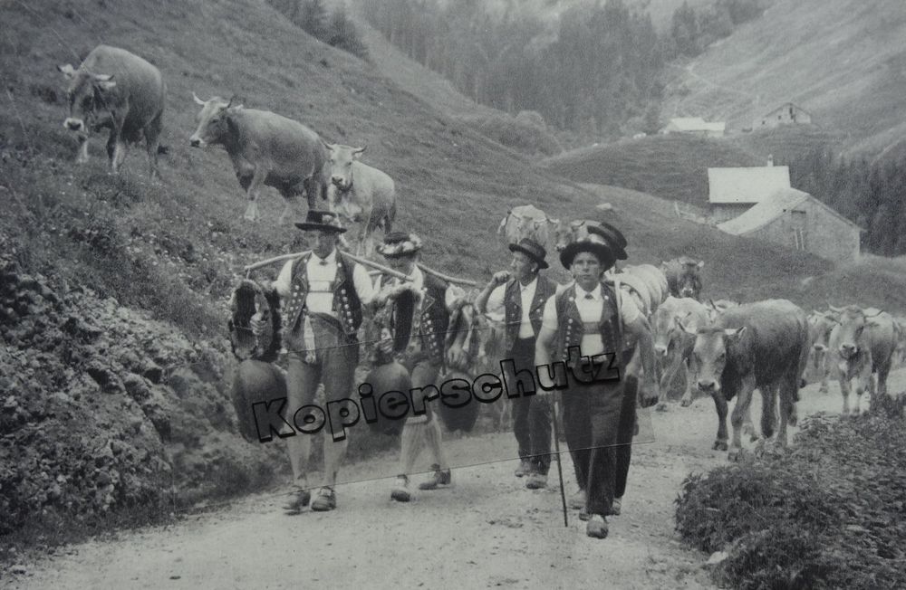 Appenzell Alpaufzug anno dazumal | Kaufen auf Ricardo