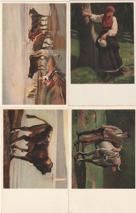 5 Ak Pro Juventute Rudolf Koller im Umschlag (Gebraucht) in ...