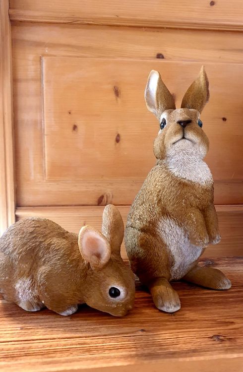 Hase links (Neu (gemäss Beschreibung)) in Benken SG für CHF 26 – mit Lieferung auf Ricardo kaufen