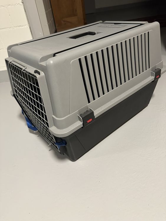 Stabile Hundebox Transportbox faltbar mit Gurten (Gebraucht) in illnau ...