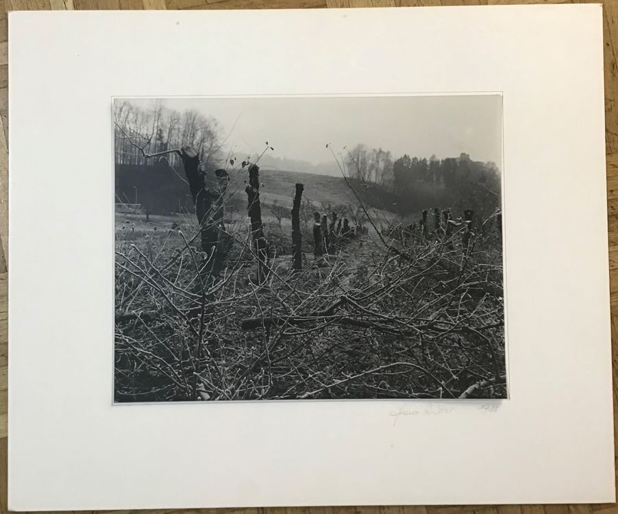 Kunst Fotografie Unleserlich Signiert (Gebraucht) in Root für CHF 5 – mit Lieferung auf Ricardo ...