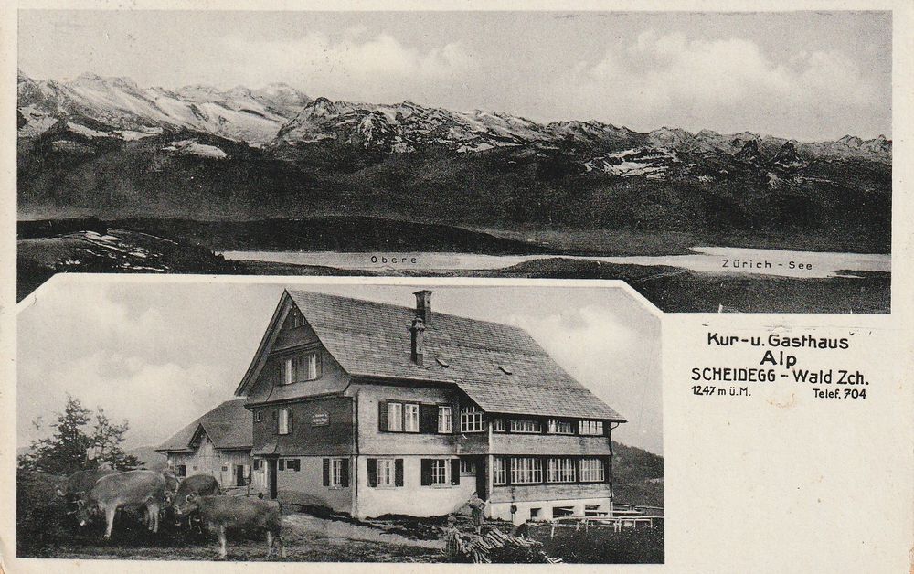 Wald Alp Scheidegg (Gebraucht) in Schindellegi für CHF 7 – mit Lieferung auf Ricardo kaufen