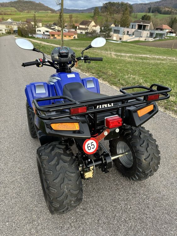 Quad Dinli 150 DL-603 - AB MFK/EXPERTISÉ - 995 KM (D'occasion) à ...
