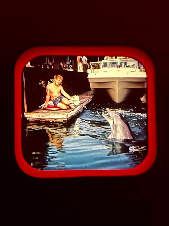 View Master - Flipper | Kaufen auf Ricardo