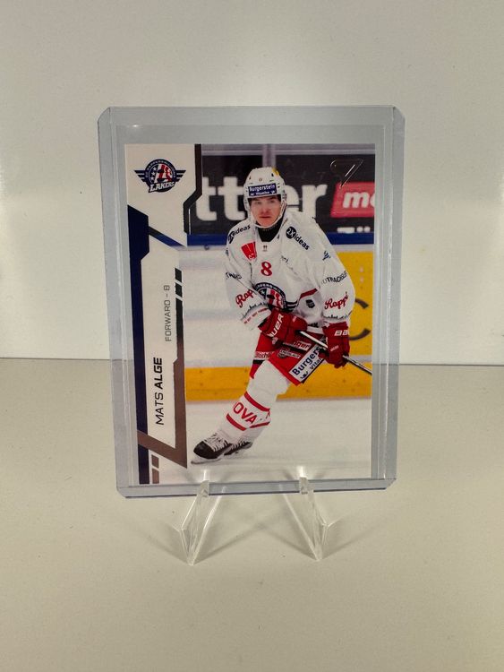 207 Mats Alge SC Rapperswil-Jona Lakers 2024/25 SportZoo (Neu (gemäss ...