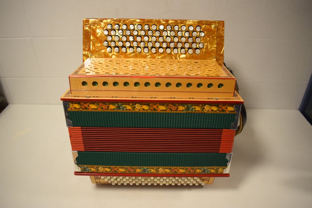 Schwyzerörgeli chromatisch | Kaufen auf Ricardo