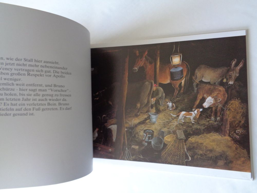 Lieber Alex von Menschen und Tieren im VS Bergdorf Törbel (Gebraucht ...