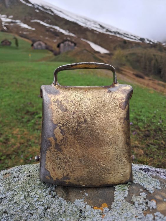 Talax | Kaufen auf Ricardo