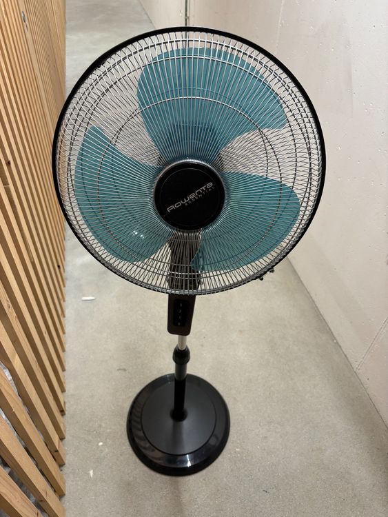 Rowenta Standventilator Essential – 3 Geschwindigkeiten (Gebraucht) in Dietwil für CHF 20 – nur ...