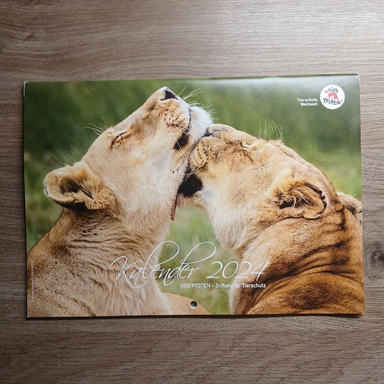 Löwen Kalender 2024 - Neu (Gebraucht) in Rapperswil SG für CHF 6 – mit Lieferung auf Ricardo kaufen