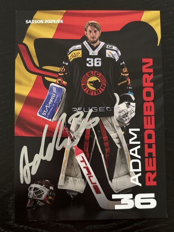 Adam Reideborn SCB Matchworn Autogrammkarte Saison 25/26 (Neu (gemäss ...